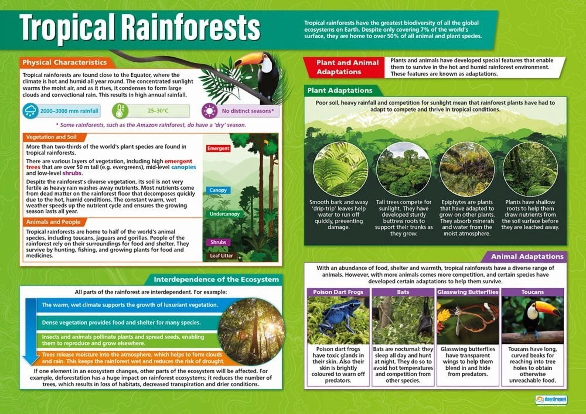 Tropical Rainforests | Geography Posters Geography Classroom Posters ...