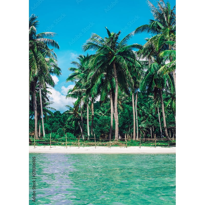 Tropical Sea Beach Palms Tree Photography Background Natural Scenic Photo Backdrops Photocall ...