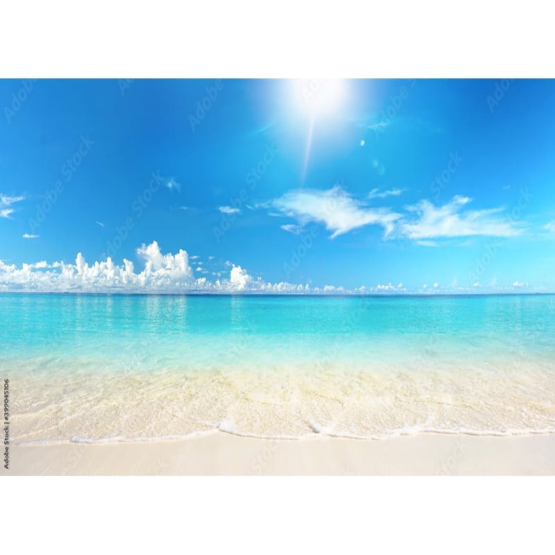 Tropical Sea Beach Palms Tree Photography Background Natural Scenic Photo Backdrops Photocall ...