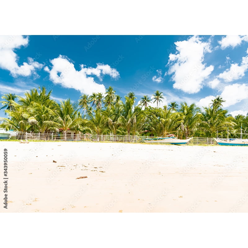 Tropical Sea Beach Palms Tree Photography Background Natural Scenic ...