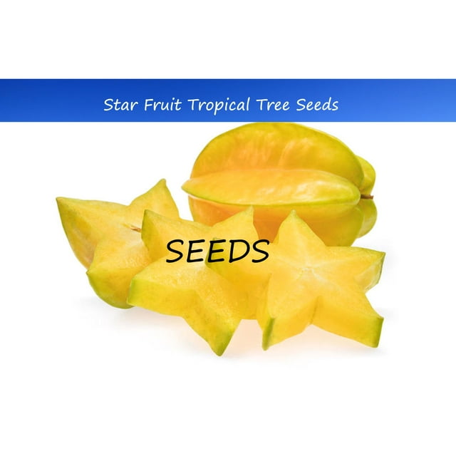 Tropical Starfruit Tree Plant - 10 Heirloom Seeds, AVERRHOA carambola ...