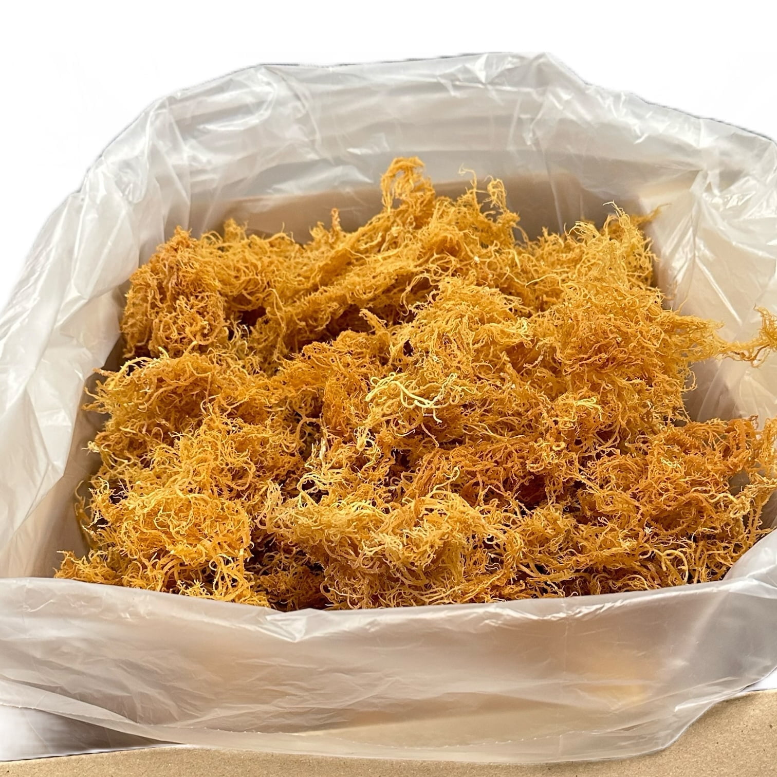 Tropical Superfoods Wholesale Sea Moss Wildcrafted - 1lbs Gold Seamoss ...
