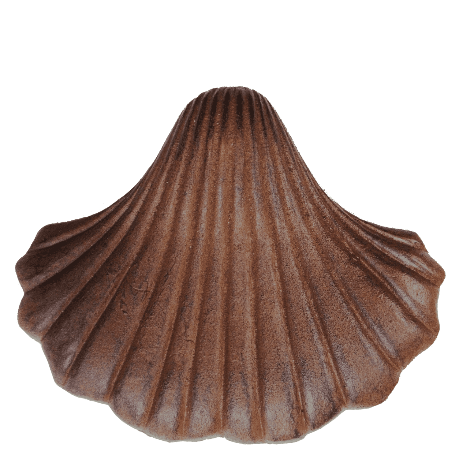 Tropical Tiki Cast Iron Sea Shell Decor Door Knocker - Walmart.com