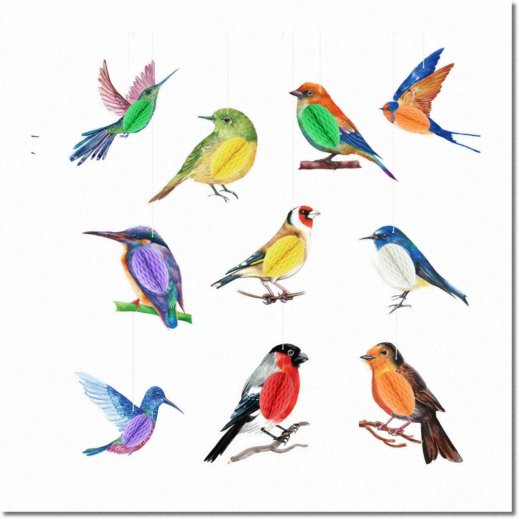 Tropical Tiki Jungle Birds - 10pc Honeycomb Paper Cutouts: Vibrant ...