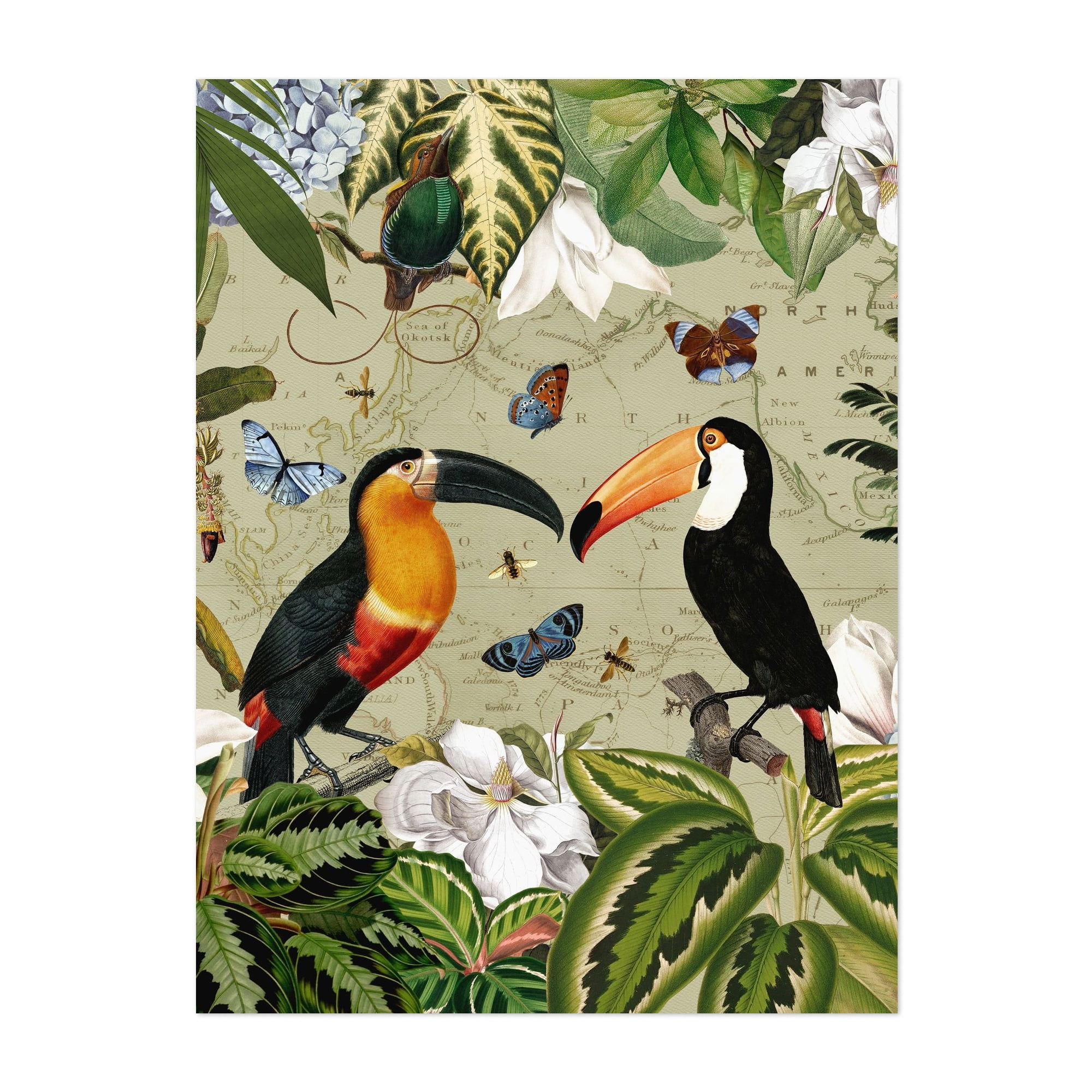 Tropical Toucans And Butterflies in Exotic Jungle - Painting Botanical ...