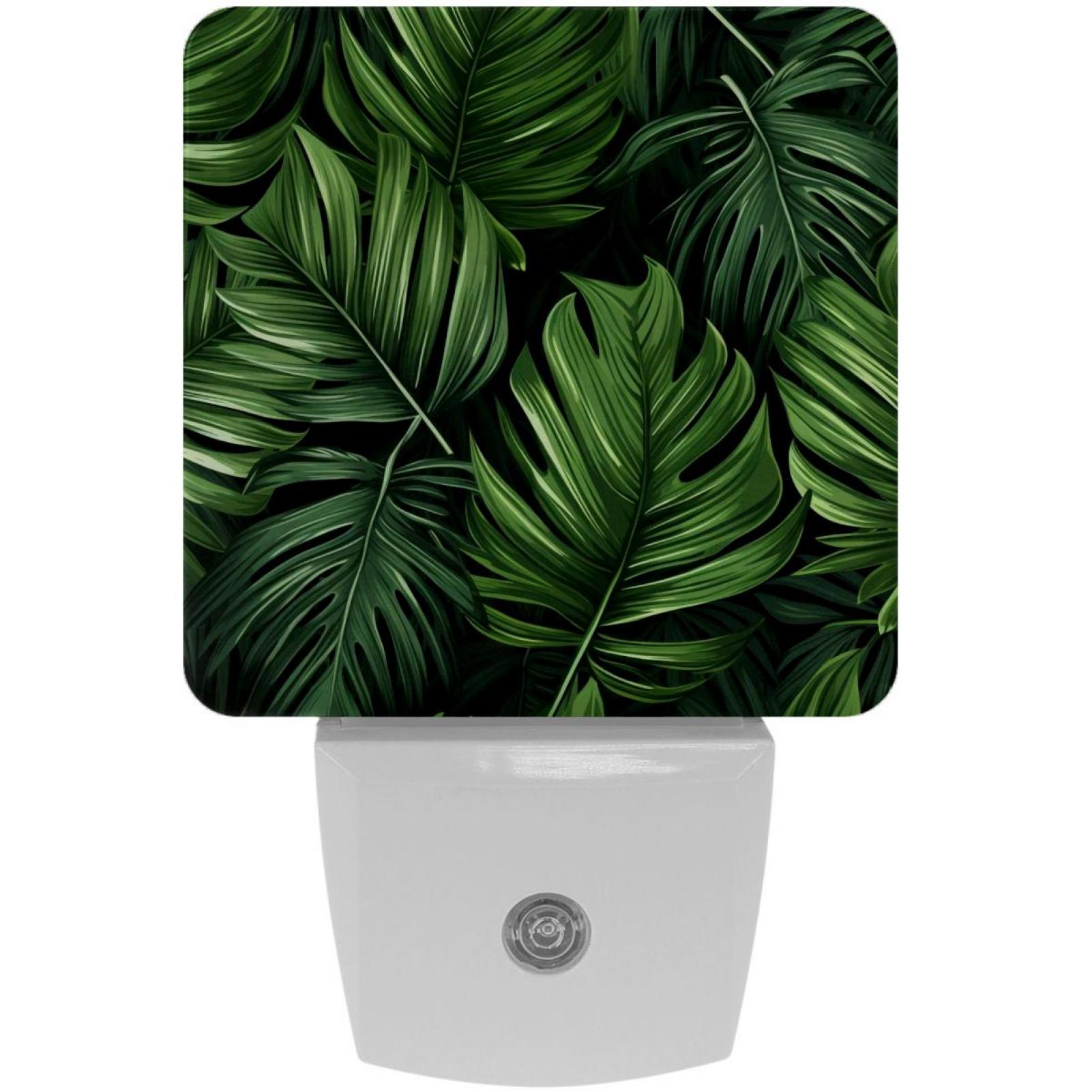 Tropical jungle palm fronds LED Square Night Light - Modern and Stylish ...