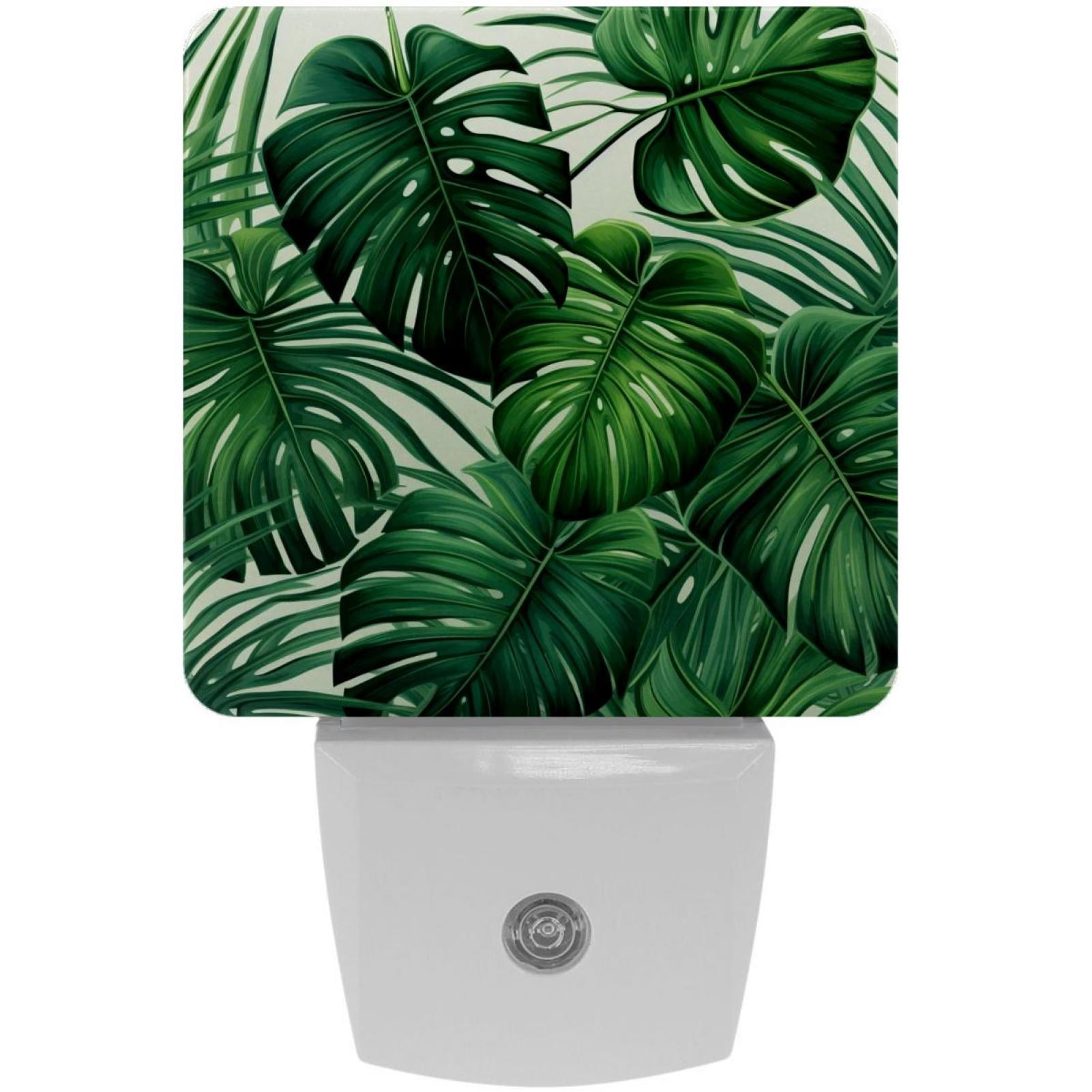 Tropical jungle palm fronds LED Square Night Lights: Compact and Energy ...