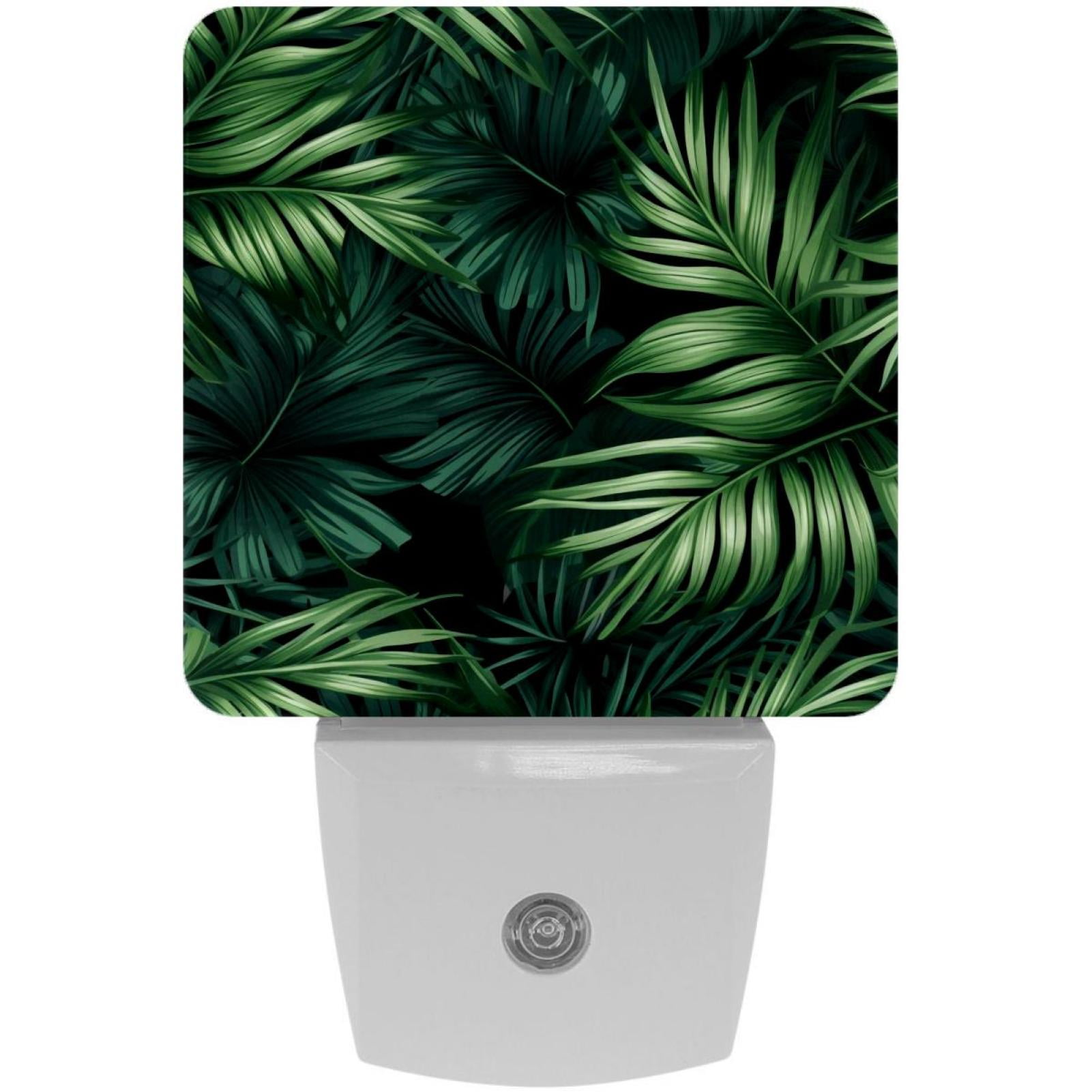 Tropical jungle palm fronds LED Square Night Lights - Modern and ...