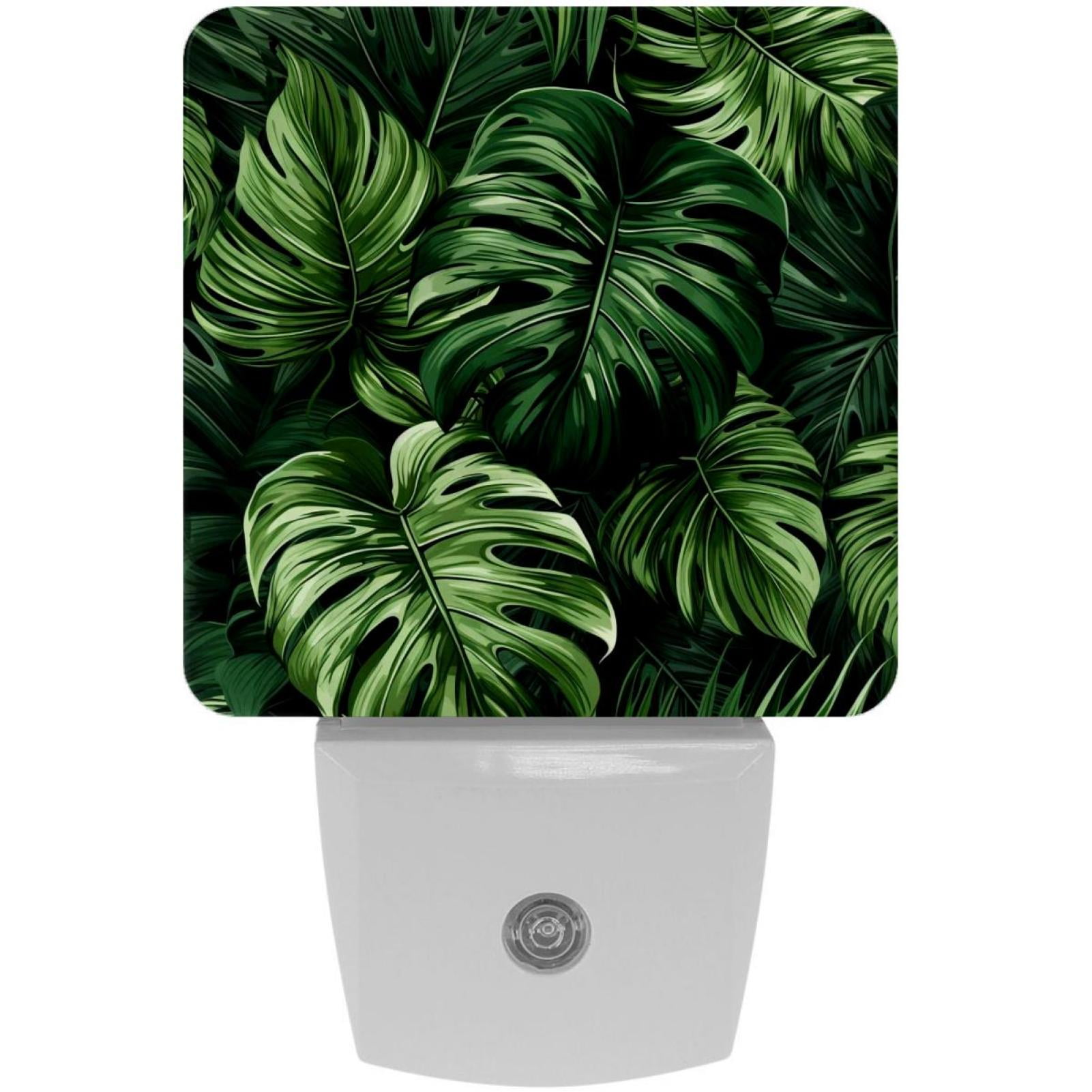 Tropical jungle palm fronds LED Square Night Lights - Stylish and ...