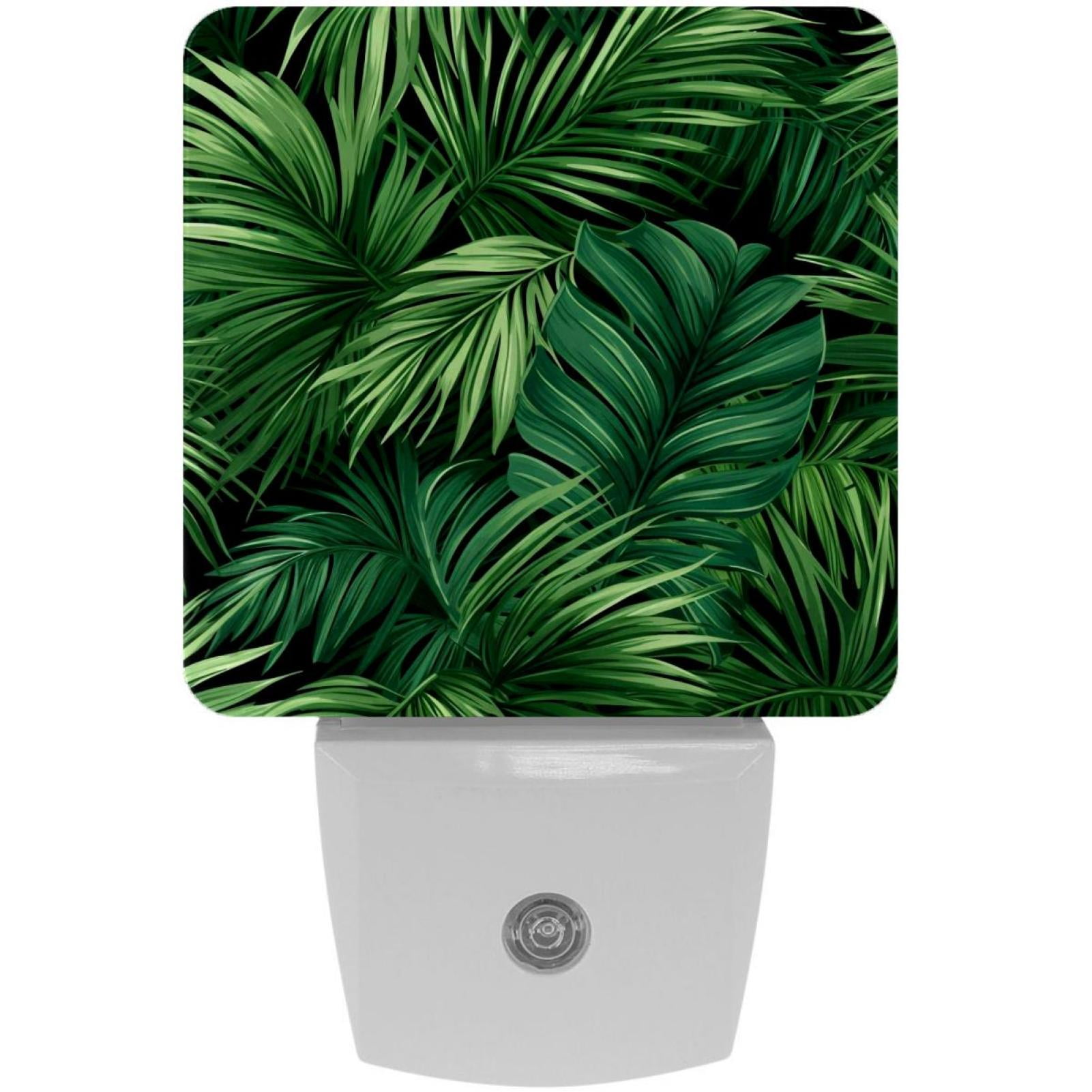 Tropical jungle palm fronds Square LED Night Lights - Small, Portable ...