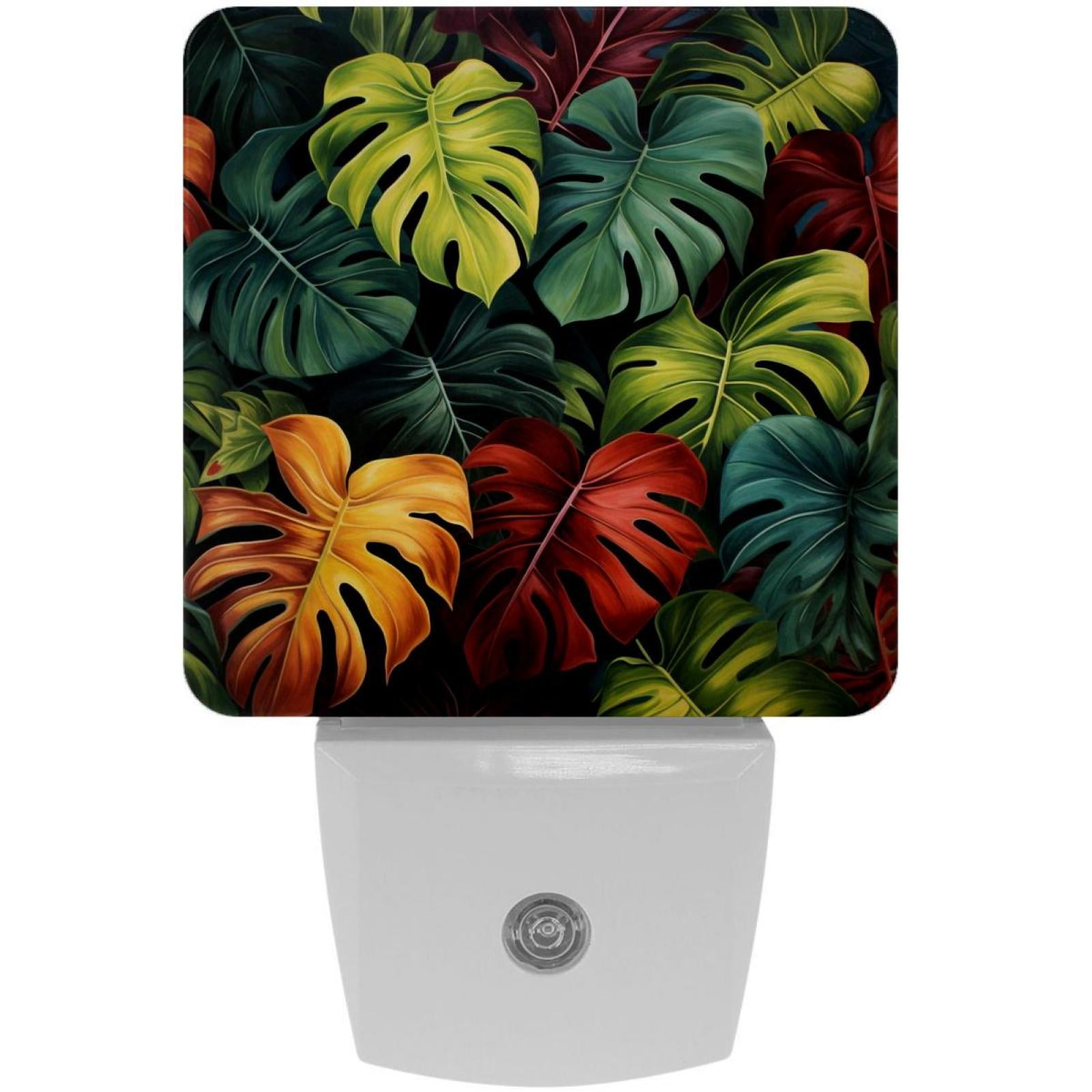 Tropical plants LED Square Night Light - Compact and Energy Efficient ...