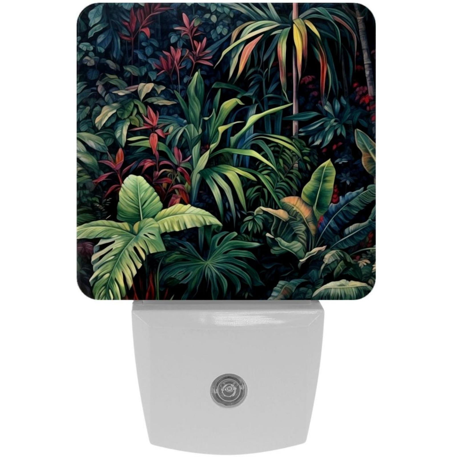 Tropical plants LED Square Night Light - Compact and Energy Efficient ...
