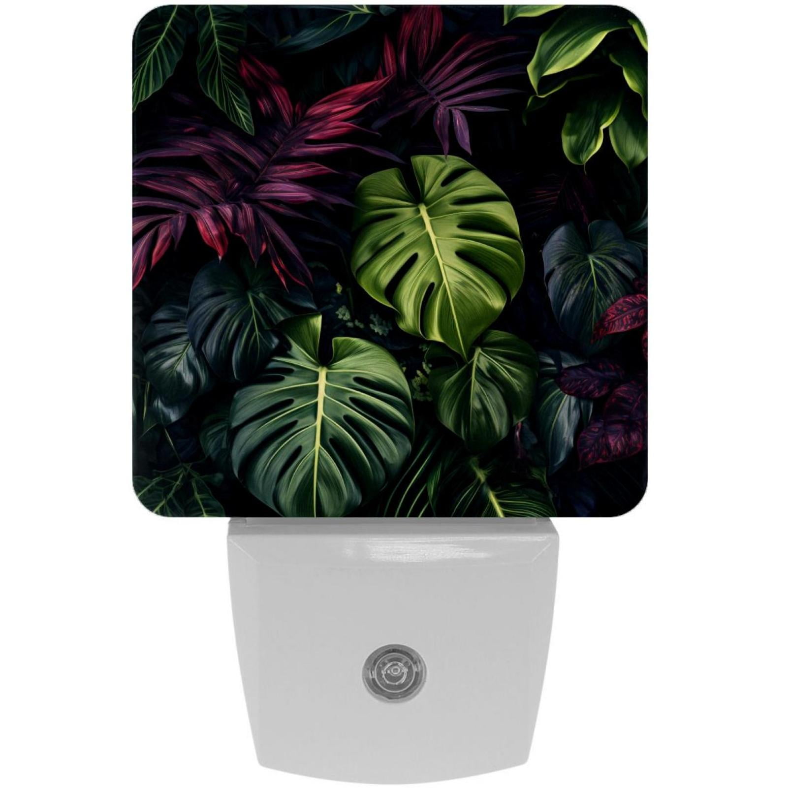Tropical plants LED Square Night Light - Energy Efficient and Stylish ...