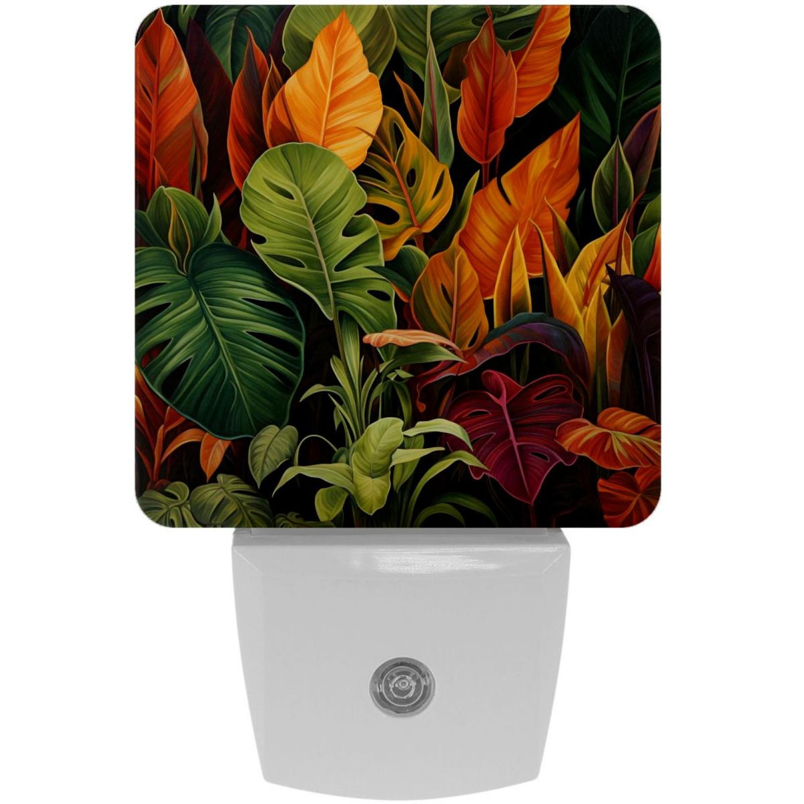 Tropical plants LED Square Night Lights - Bright, Energy-Efficient ...