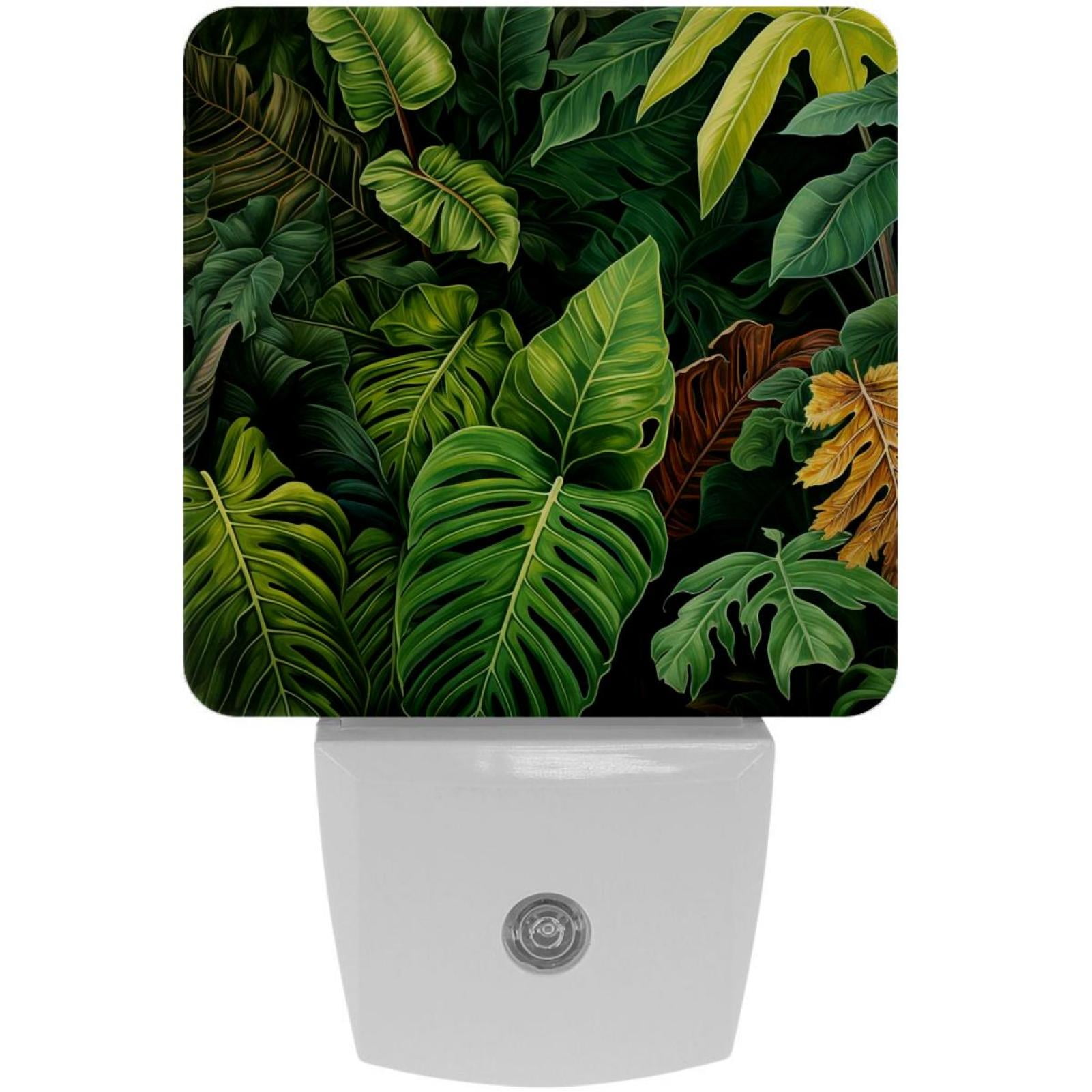 Tropical plants LED Square Night Lights: Compact and Energy-Efficient ...