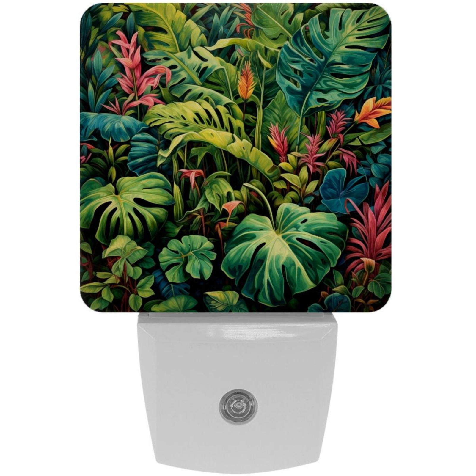 Tropical plants LED Square Night Lights - Elegant and Energy Efficient ...