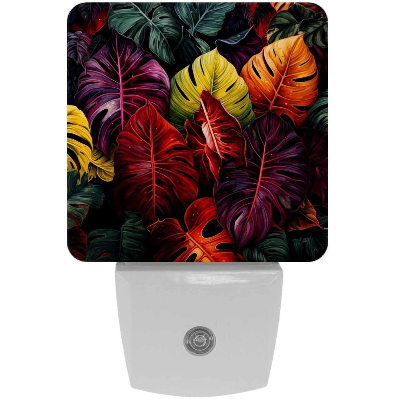 Tropical plants LED Square Night Lights - Elegant and Energy Efficient ...
