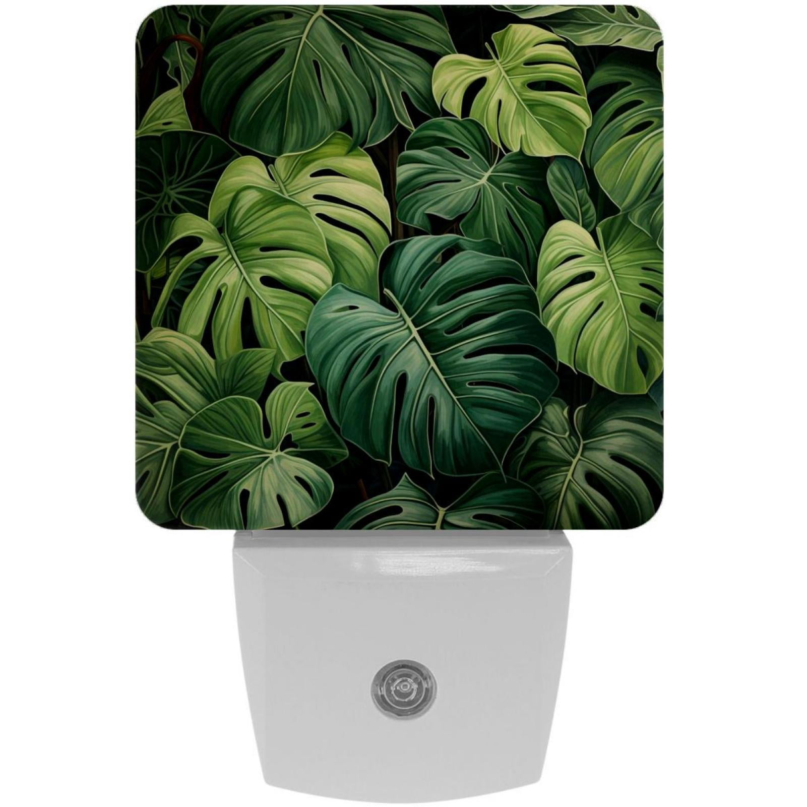 Tropical plants LED Square Night Lights - Energy Efficient and Sleek ...