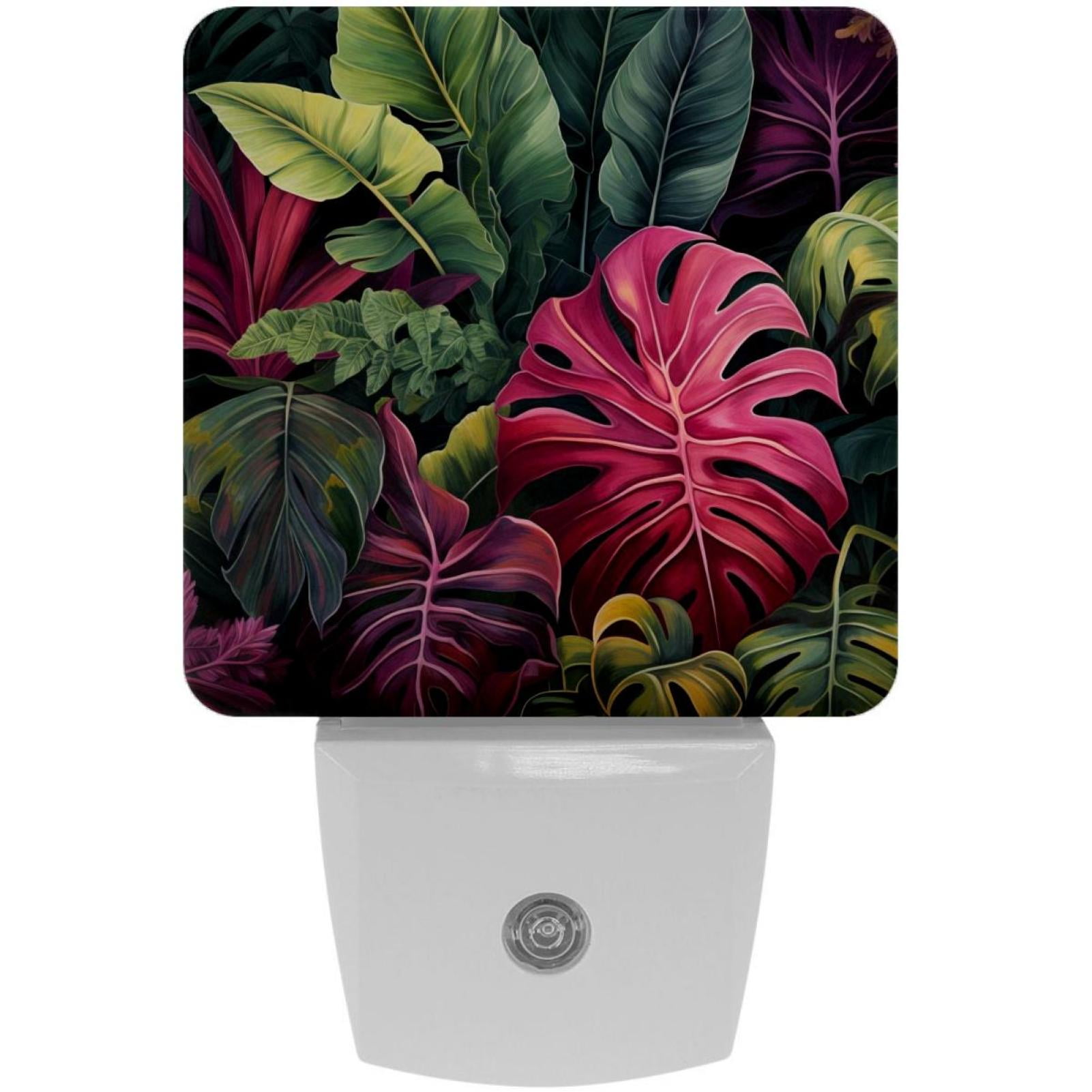 Tropical plants LED Square Night Lights- Energy Efficient and Stylish ...