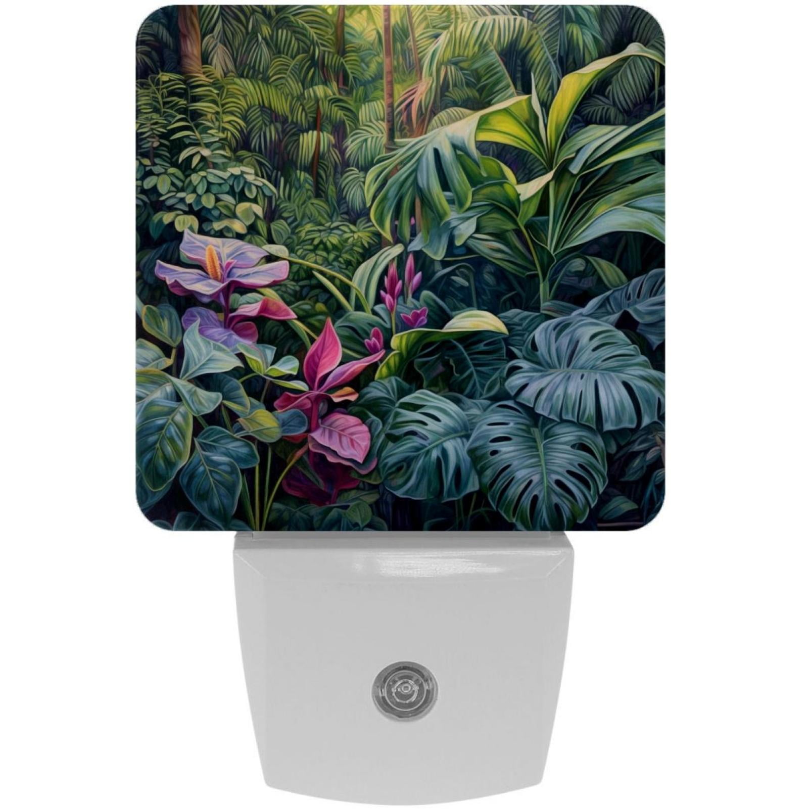 Tropical plants LED Square Night Lights - Energy Efficient and Stylish ...