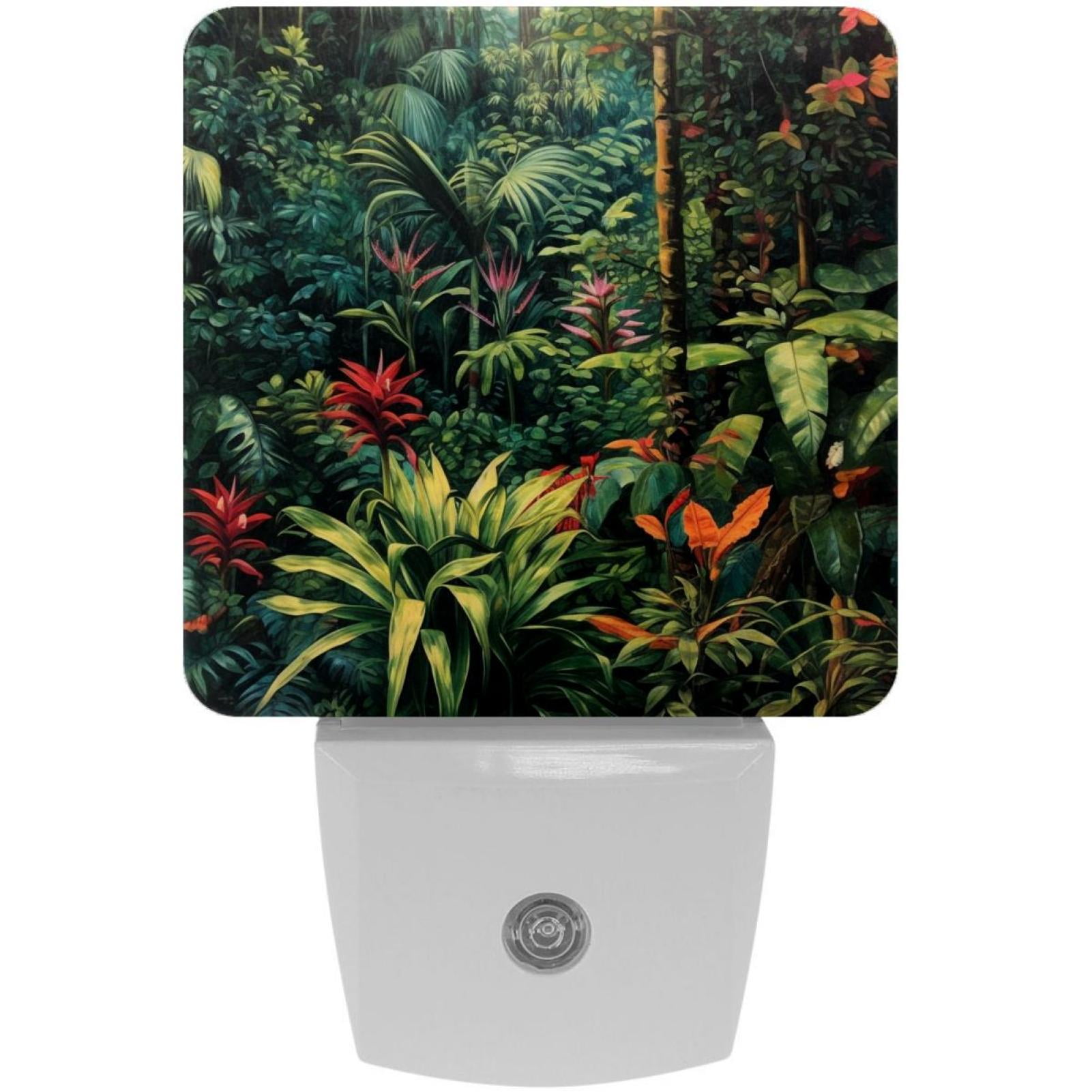 Tropical plants LED Square Night Lights - Energy Efficient and Stylish ...