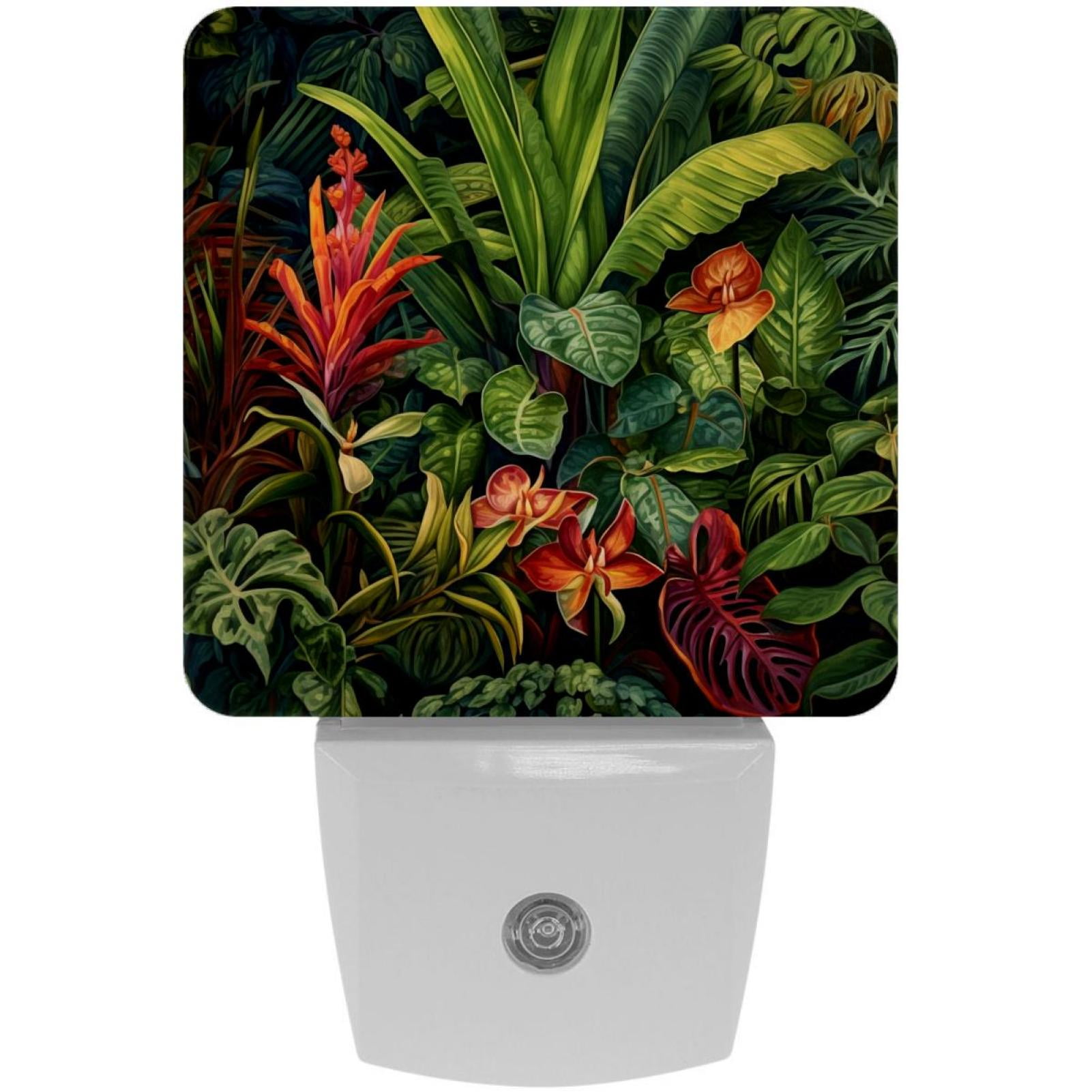Tropical plants LED Square Night Lights - Energy Efficient and Stylish ...