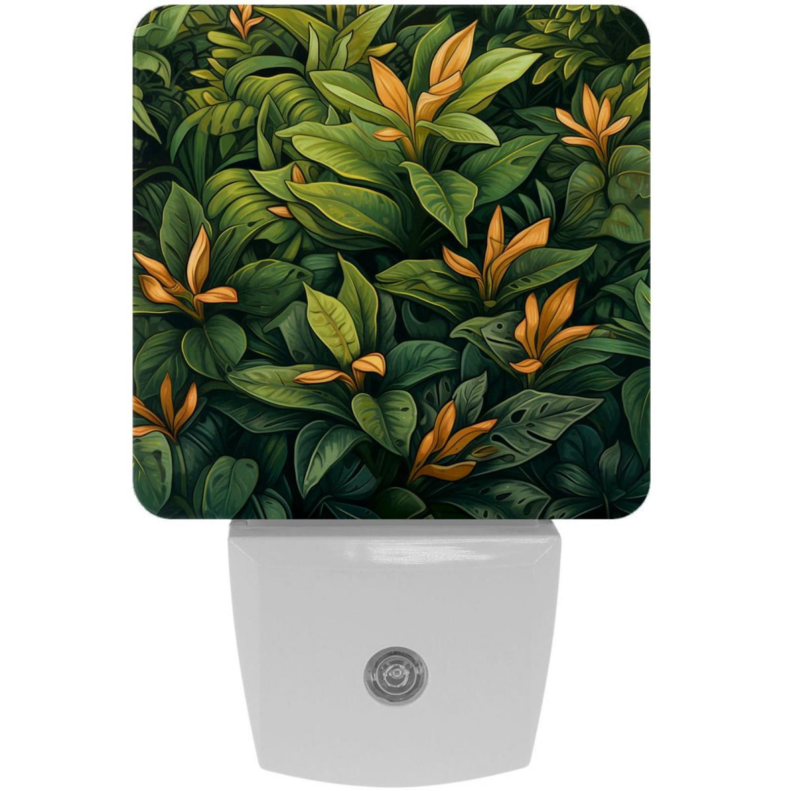 Tropical plants LED Square Night Lights - Modern Design, Energy ...