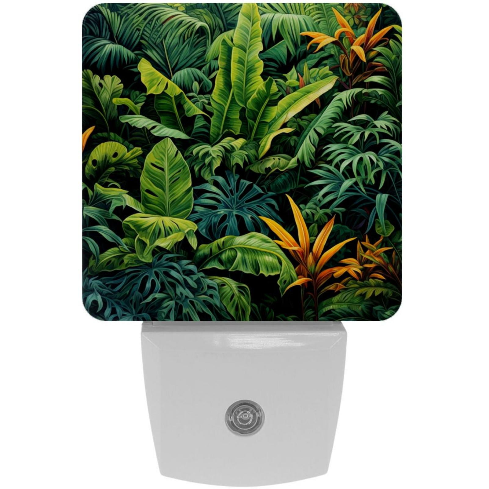 Tropical plants LED Square Night Lights - Modern Design, Soft Glow ...