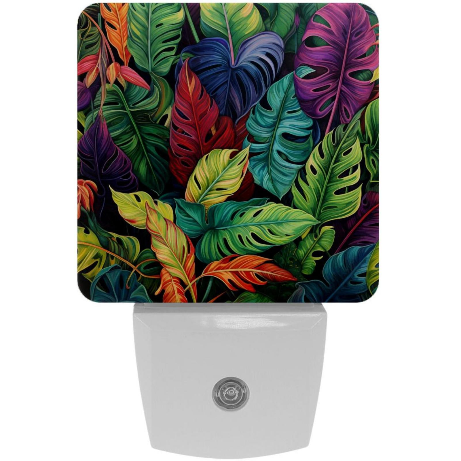 Tropical plants LED Square Night Lights- Modern and Energy Efficient ...