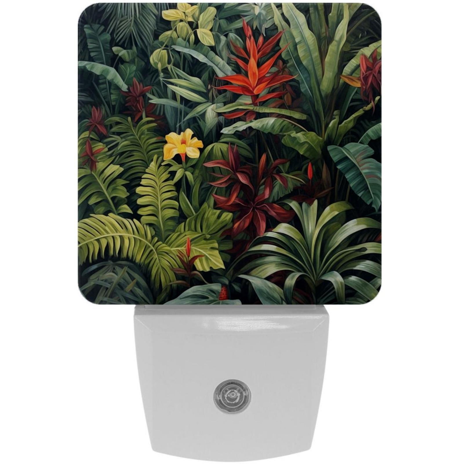 Tropical plants LED Square Night Lights - Stylish and Convenient ...