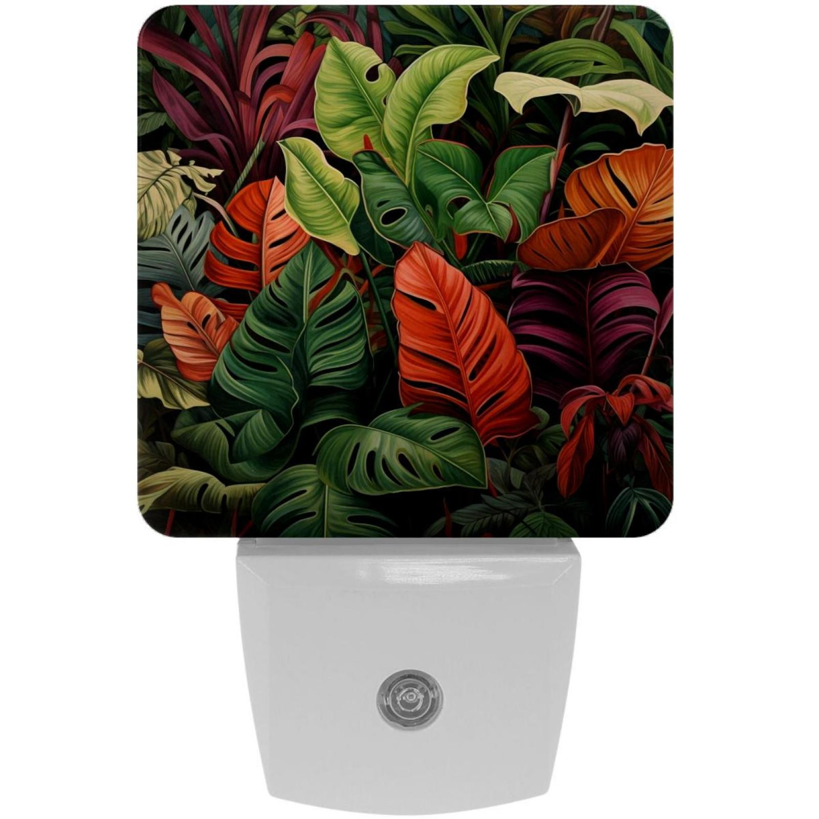 Tropical plants LED Square Night Lights - Stylish and Energy-Efficient ...