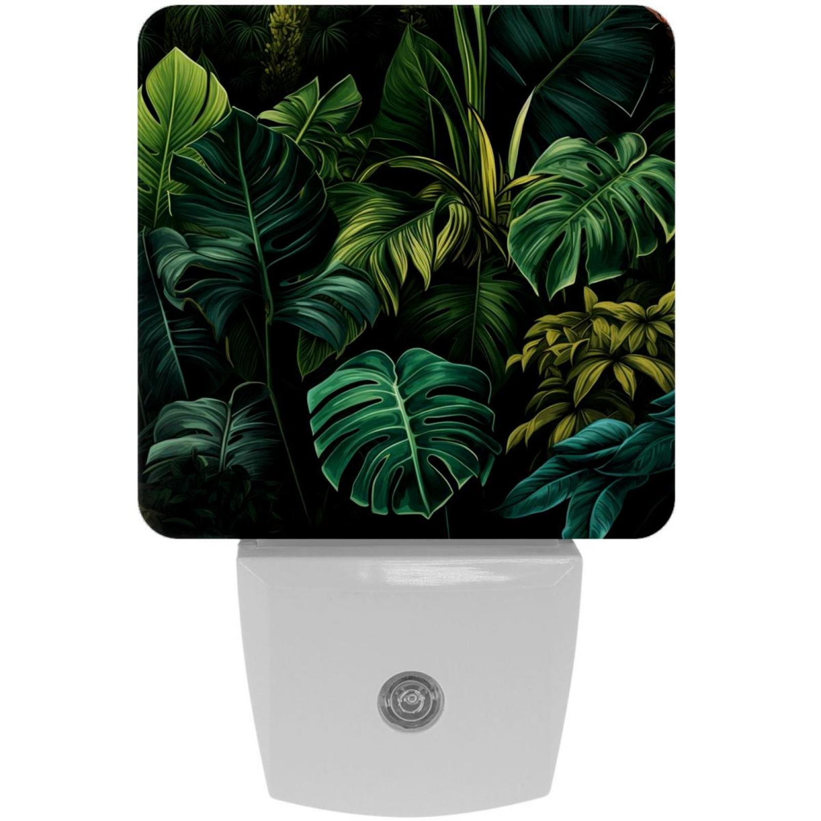 Tropical plants LED Square Night Lights - Stylish and Energy-Efficient ...