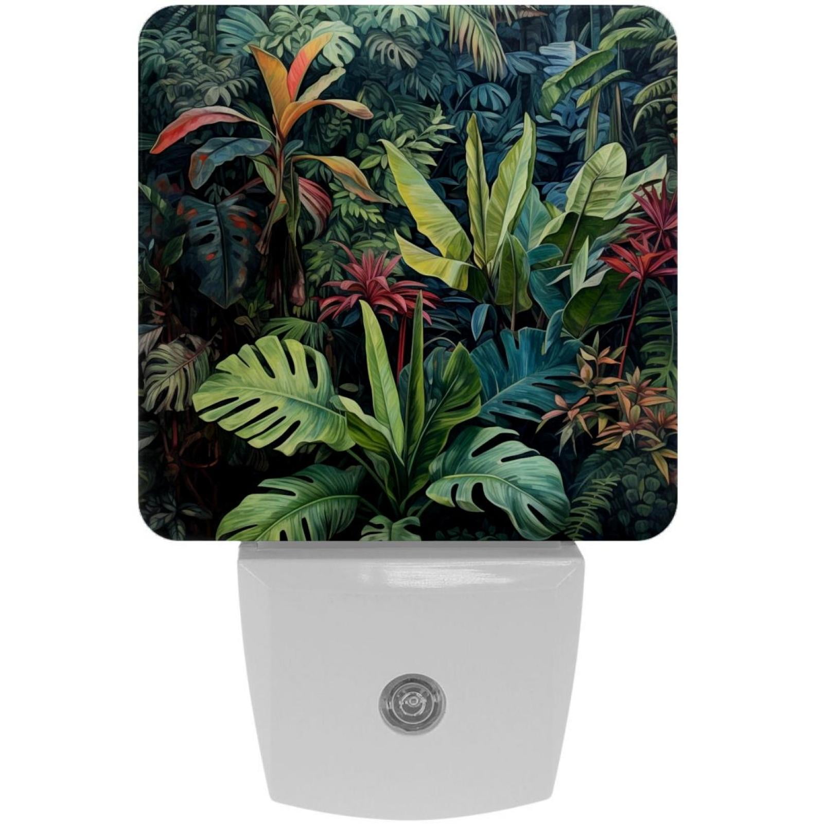 Tropical plants LED Square Night Lights - Stylish and Energy-Efficient ...