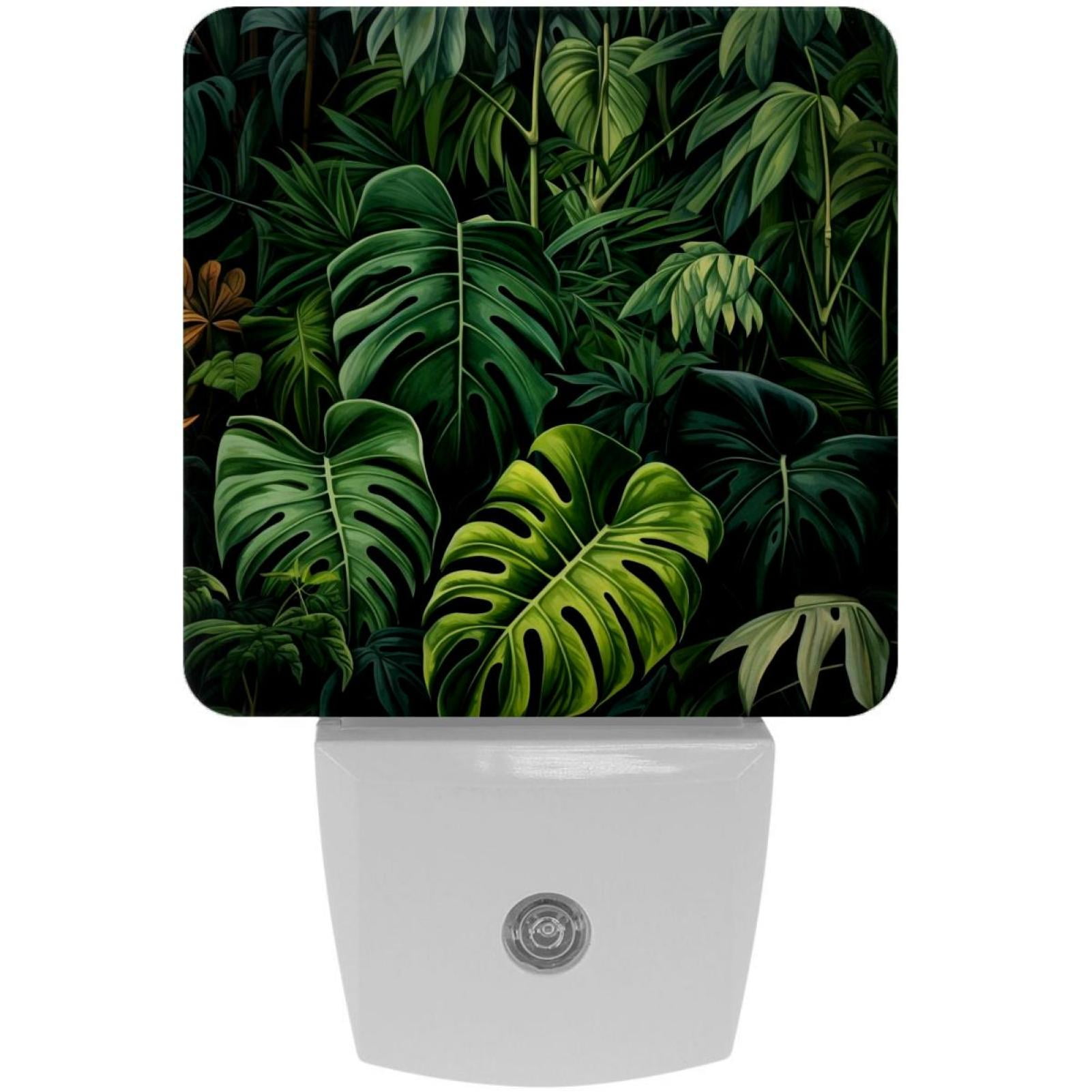 Tropical plants LED Square Night Lights - Stylish and Energy-Efficient ...