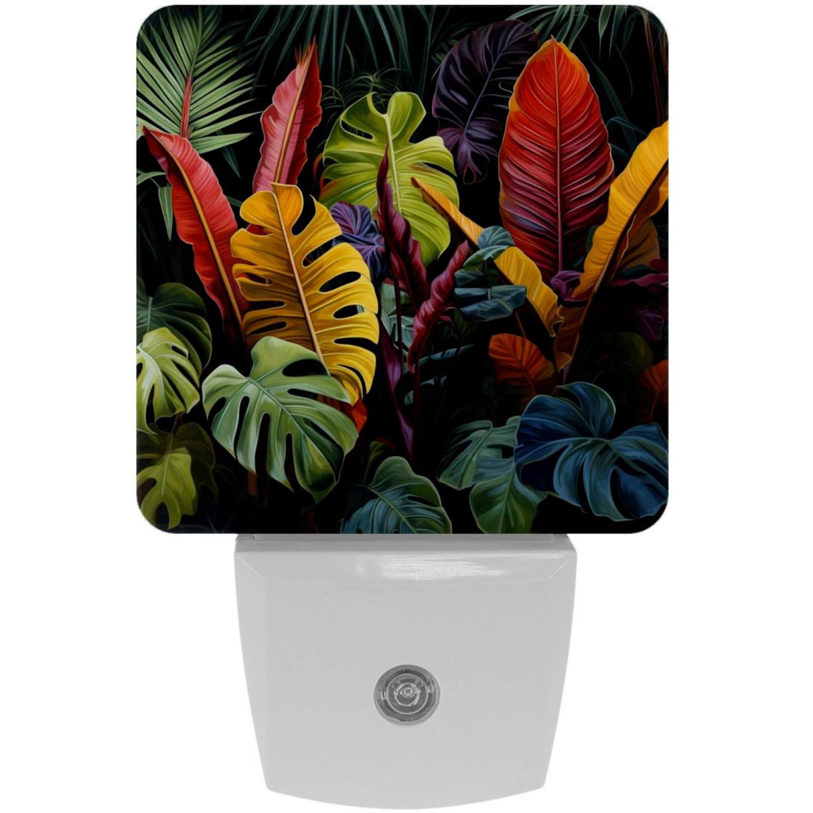 Tropical plants LED Square Night Lights - Stylish and Functional ...