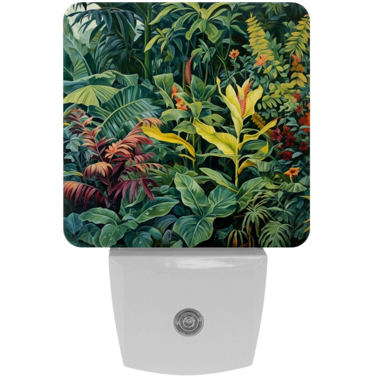 Tropical plants LED Square Night Lights - Stylish and Functional ...