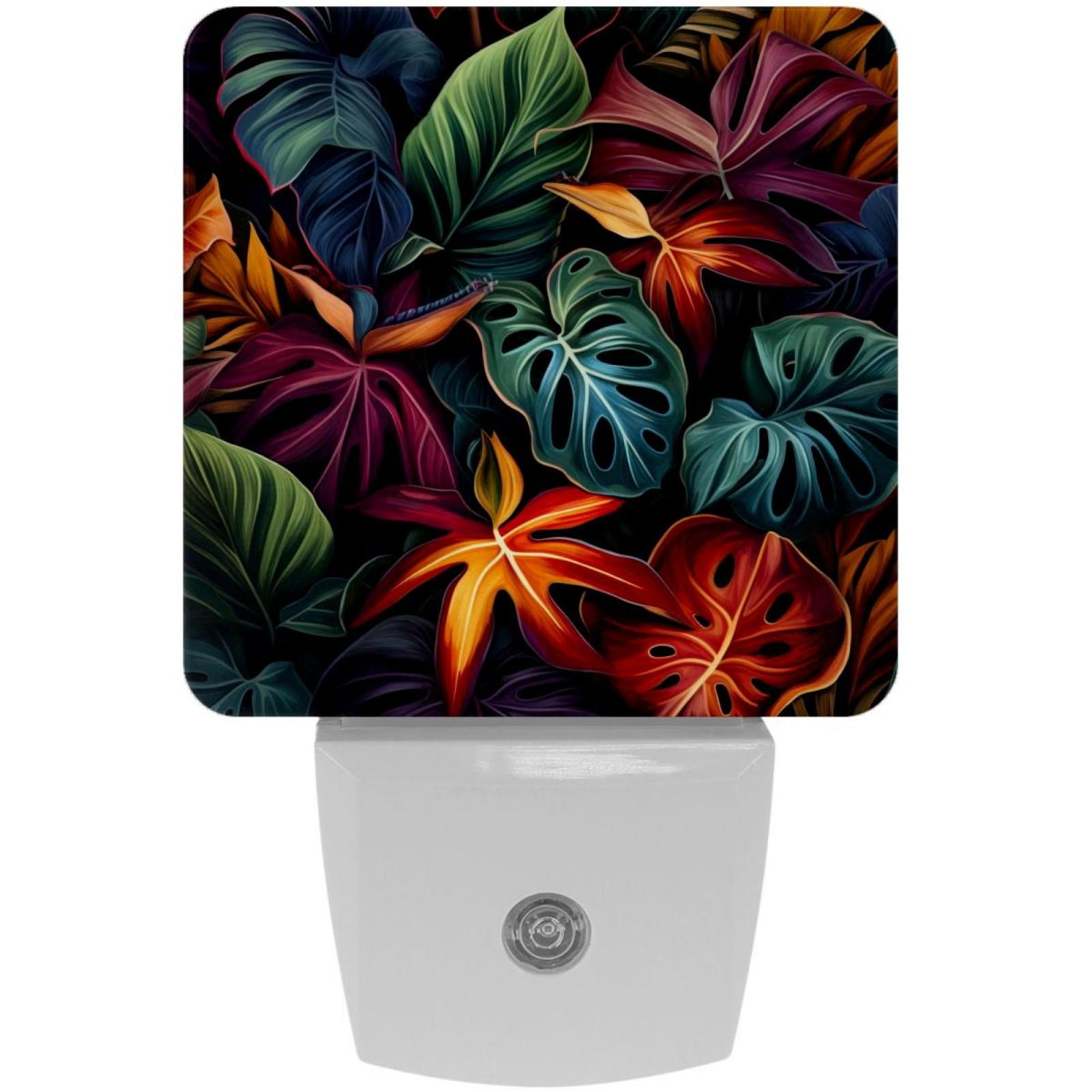 Tropical plants Square LED Night Lights - Small, Portable Lighting for ...