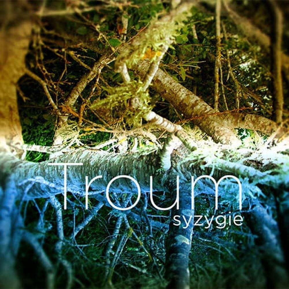 Troum - Syzygie - Heavy Metal - CD - Walmart.com