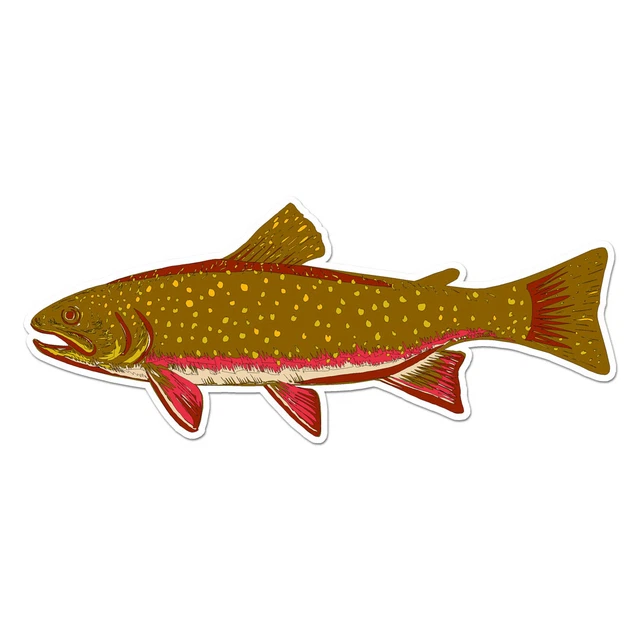 Trout Fish Sticker Phone Decal Water Bottle Stickers Car Decals, Laptop ...