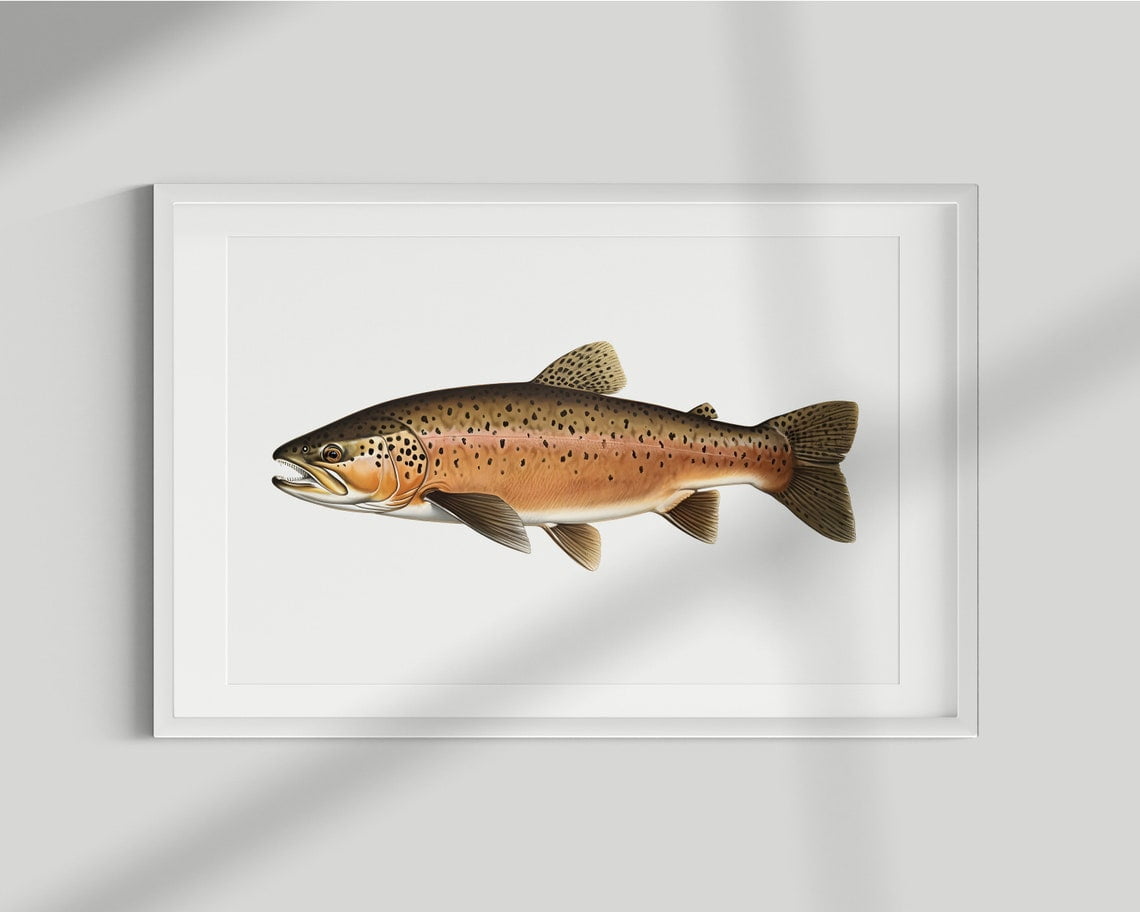 Trout Print, Fish Print, Trout, Wall Print, Fish Poster, Fish ...