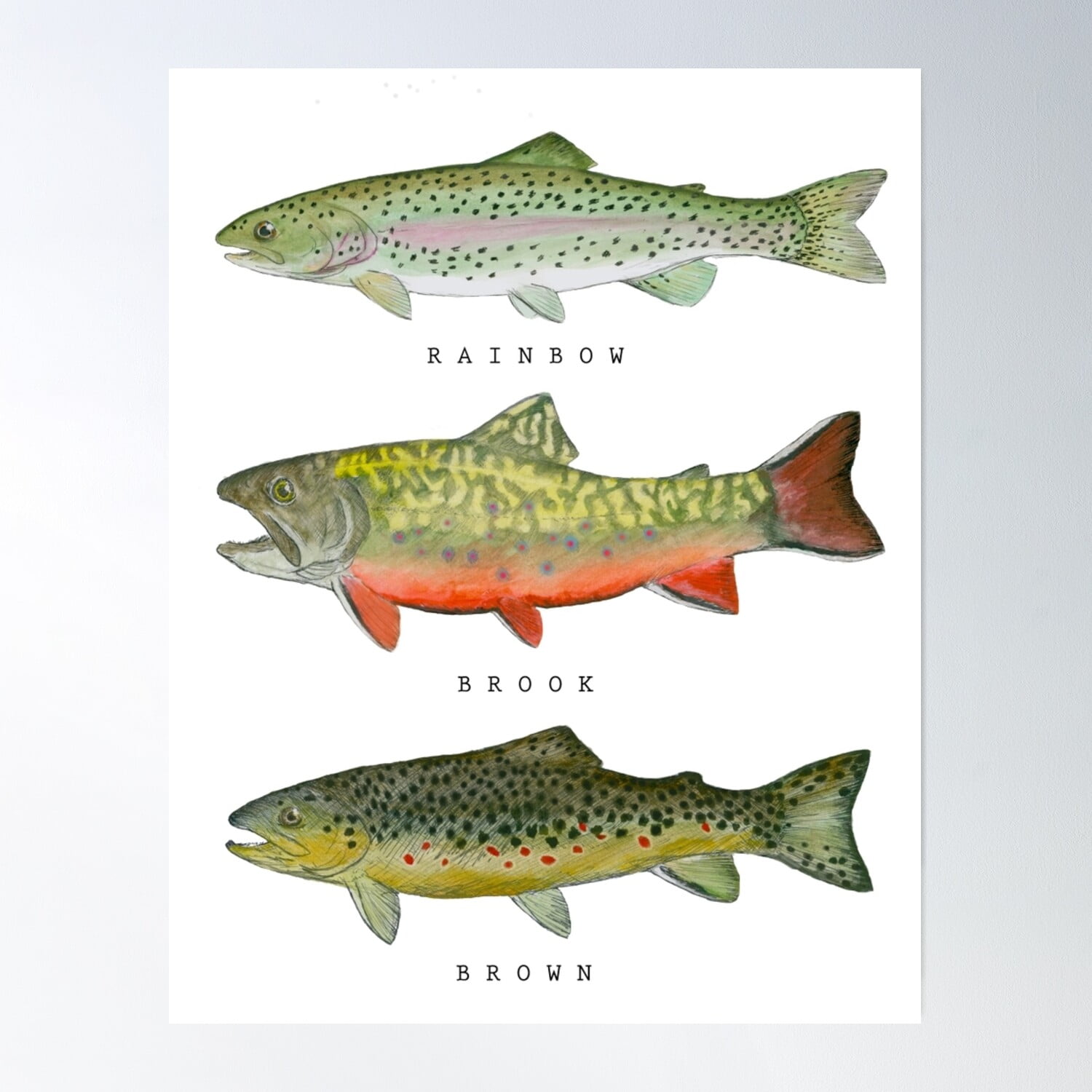 Trout Triad Poster Wall Art, Modern Wall Decor, 8x12 UNFRAMED - Walmart.com