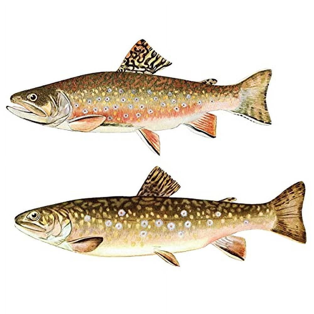 Trout Wall Decals - Set of 13 Fish Stickers - Walmart.com