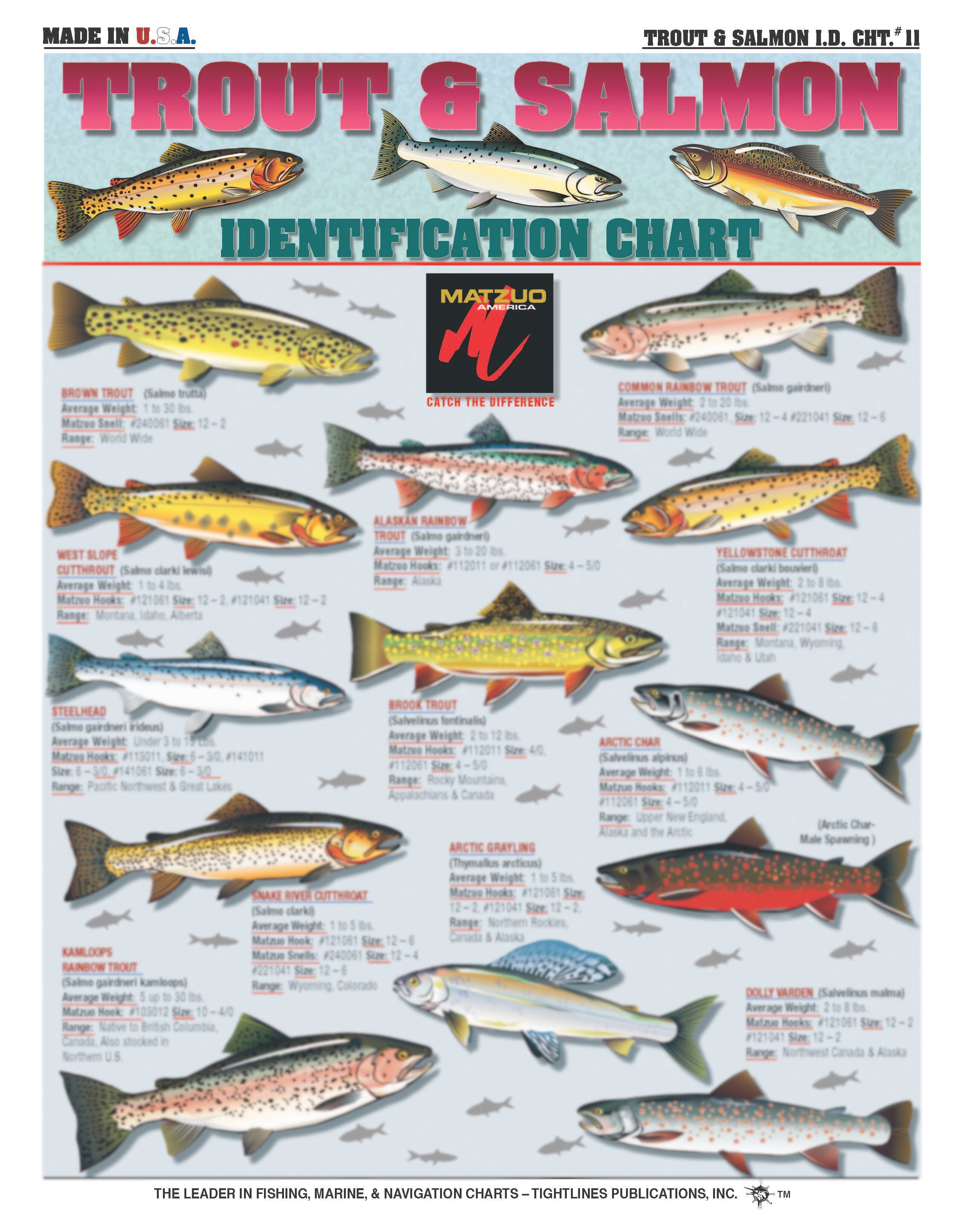 Trout and Salmon Identification #11 - Waterproof Quick Reference Guide | Portable & Built to ...