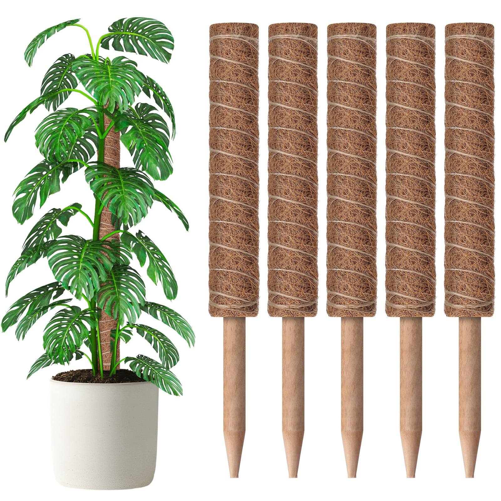 Troxlin Moss Pole for Climbing Plants, 5 Pack 15" Coir Totem Poles for ...