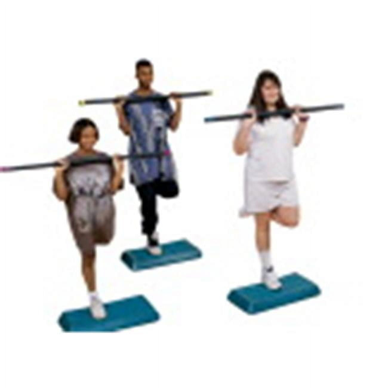 Troy Barbell 12 lb. Aerobic Toning Bar - Walmart.com