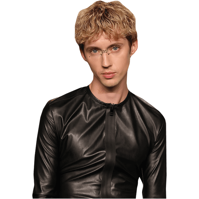 Troye Sivan (Black Outfit) Half Body Buddy Cutout - Walmart.com
