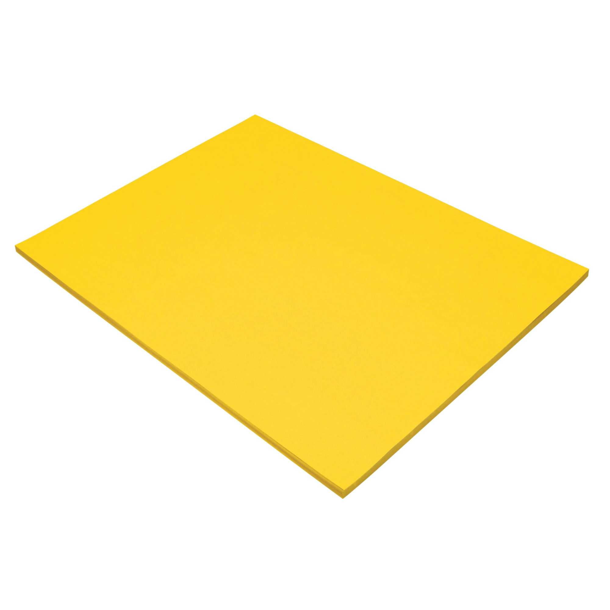 Tru-Ray Construction Paper - 24"Width X 18"Length - 76 Lb Basis Weight ...
