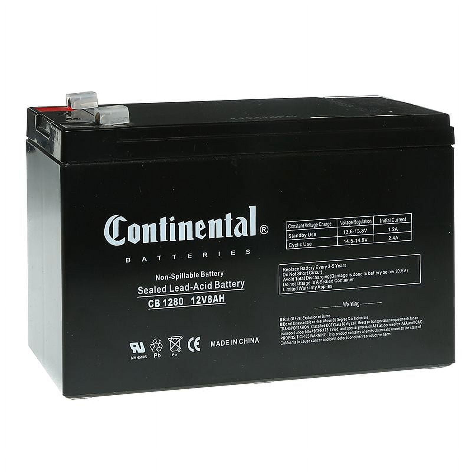 Tru Test 01020 12V Replacement Battery - Walmart Business Supplies