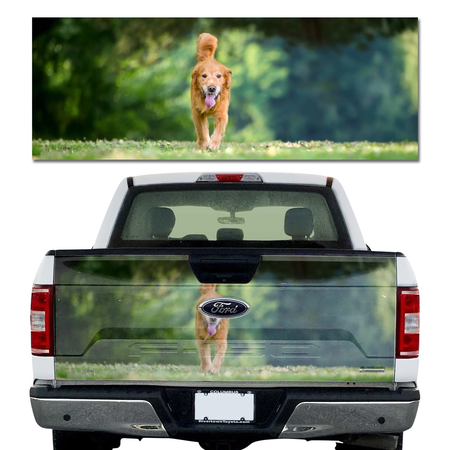 Truck Tailgate Wrap Dog Walk HD Decal Graphics MightySkins Professional ...