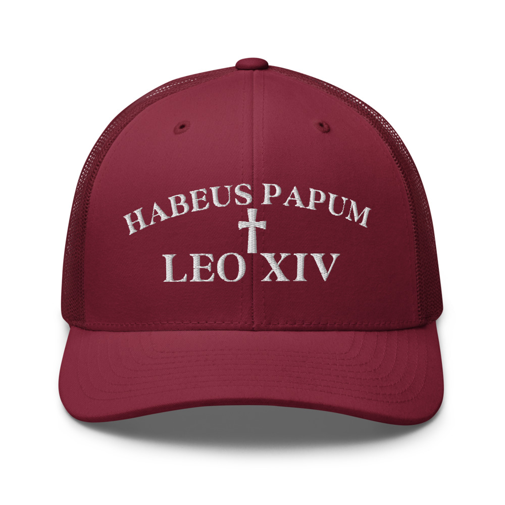 Trucker Cap (Cranberry) - Walmart.com